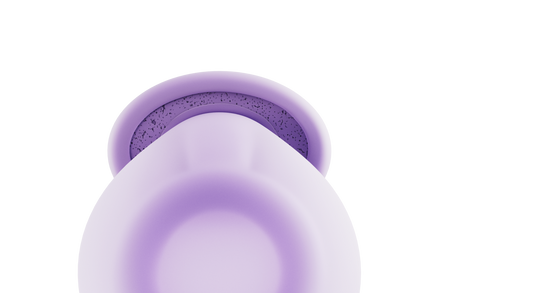 My Loop - Loop Dream | Loop Earplugs – Loop US