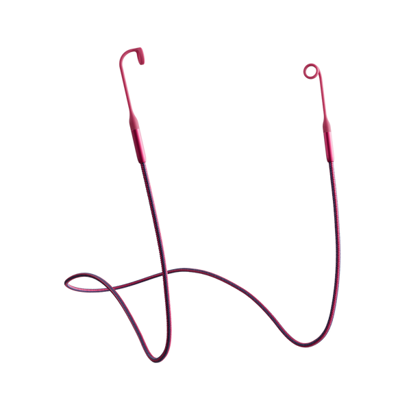 Tomorrowland x Loop Link – Loop US